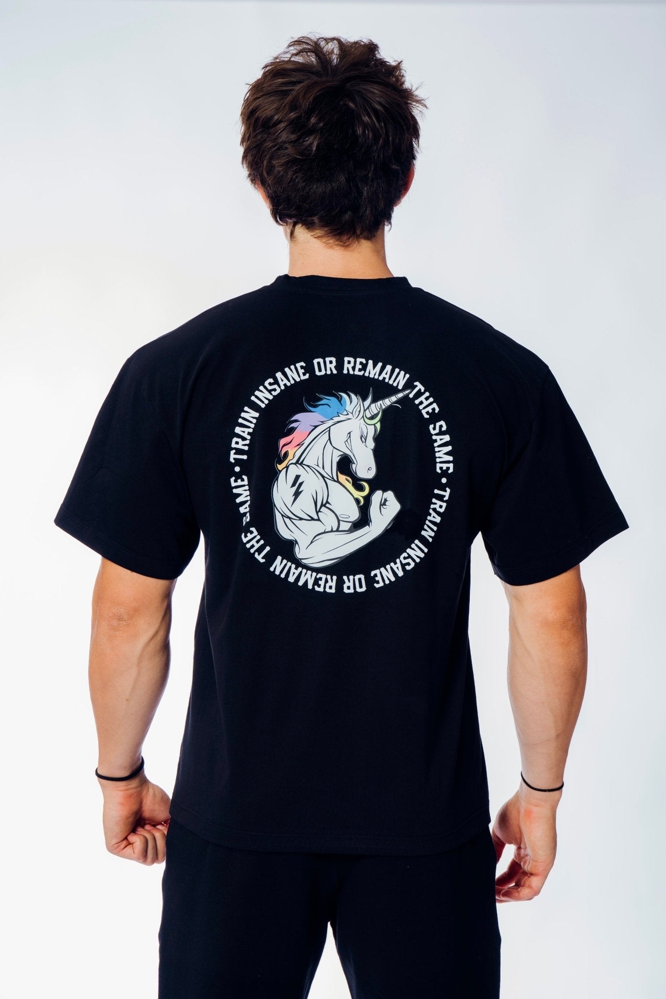 Oversize T-Shirt Unicorn Coll. – Insane Stone